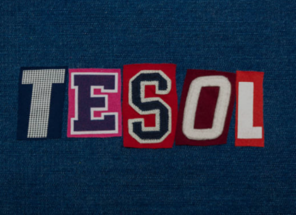 Advancing Your Career with an MA in TESOL | Teacher Record Blog ...